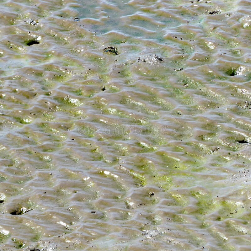 Puddle and Mud Texture, Abstract Background Stock Image - Image of rock ...