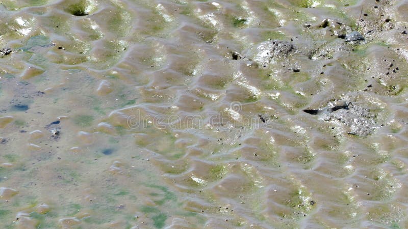 Puddle and Mud Texture, Abstract Background Stock Image - Image of ...