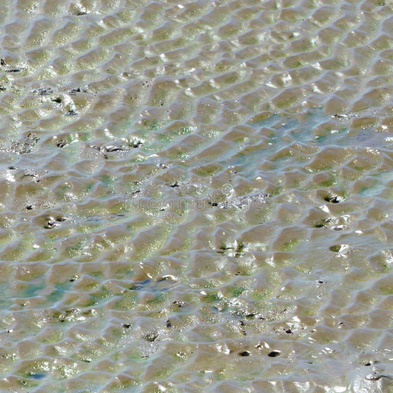 Puddle And Mud Texture Abstract Background Stock Image Image Of Space Little 142773735