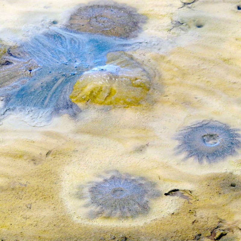 Puddle and Mud Texture, Abstract Background Stock Photo - Image of ...