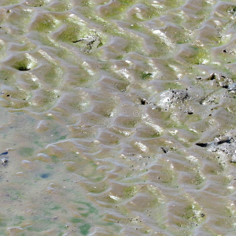 Puddle And Mud Texture, Abstract Background Stock Photo - Image of copy ...