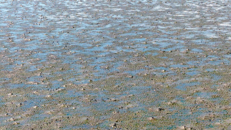 Puddle and Mud Texture, Abstract Background Stock Image - Image of ...