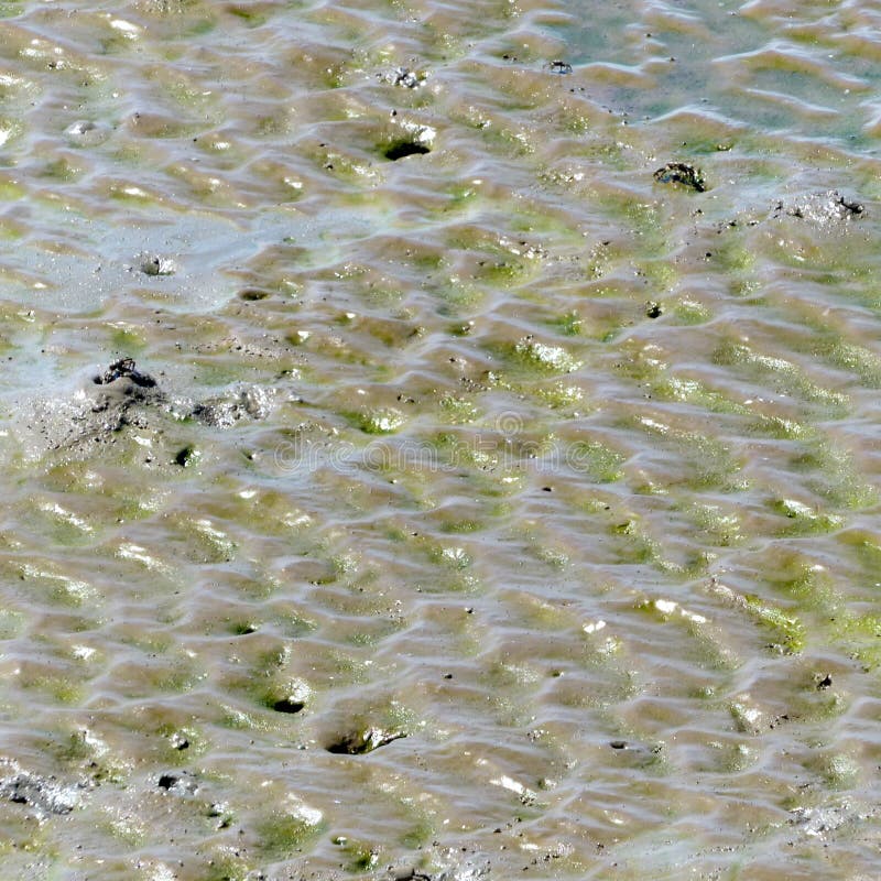 Puddle and Mud Texture, Abstract Background Stock Image - Image of ...
