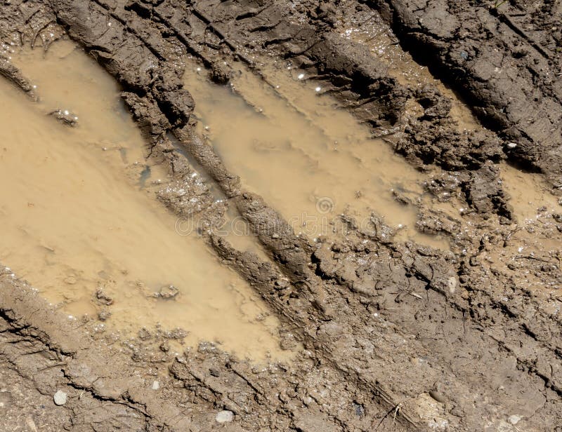 Puddle of mud stock image. Image of soil, swamp, dirt - 141987641