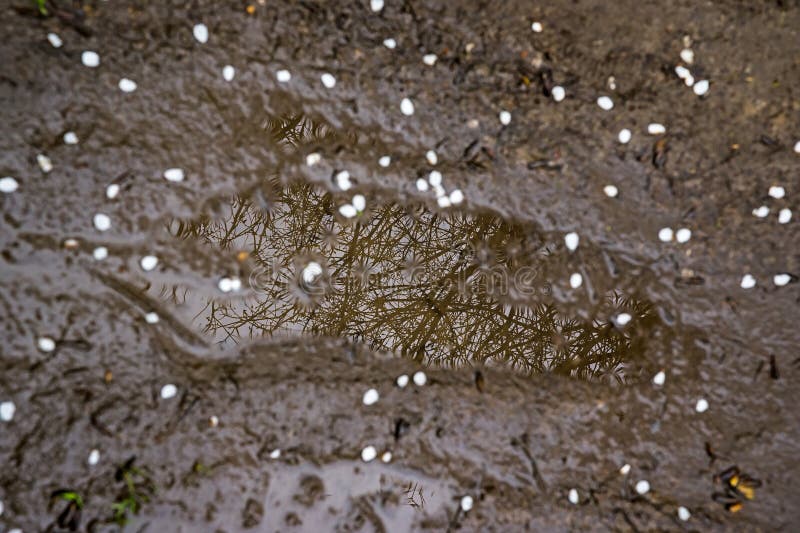 Reflectiohs Stock Photos - Free & Royalty-Free Stock Photos from Dreamstime