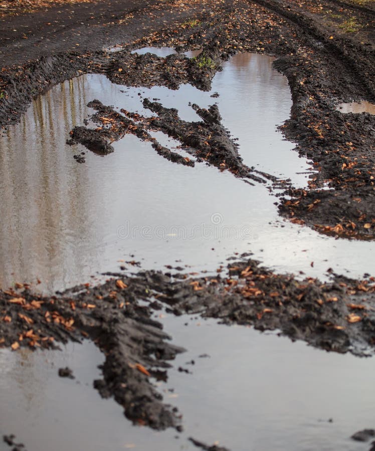 Puddle on a Muddy Road in Autumn Stock Photo - Image of rain, path ...