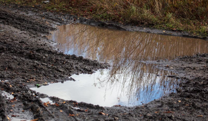 Puddle on a Muddy Road in Autumn Stock Photo - Image of rural, rain ...
