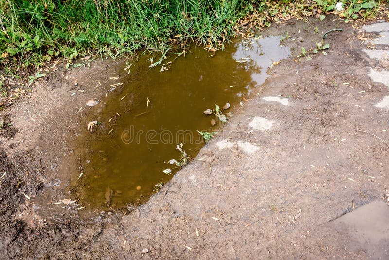 Puddle on a Path in the Field Road Stock Image - Image of stream, tree ...