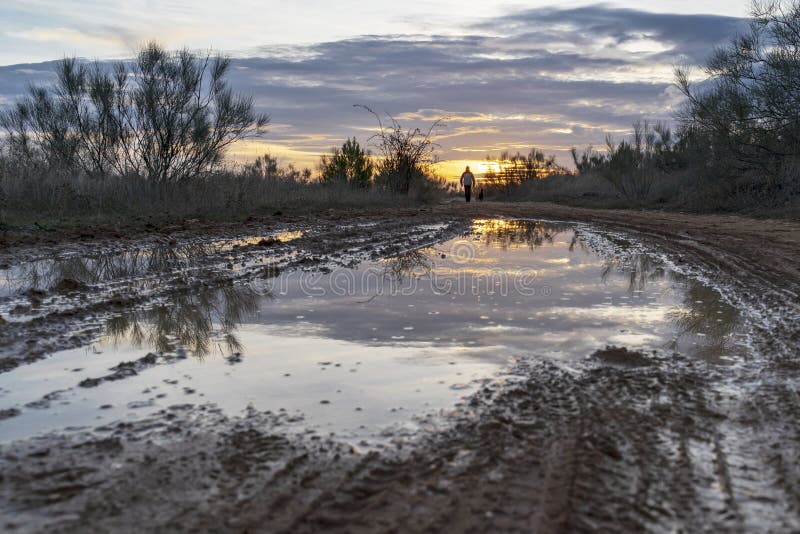 Puddle on a Path in the Field in Which the Sunset is Reflected. Stock ...