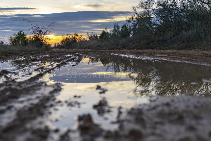 Puddle on a Path in the Field in Which the Sunset is Reflected. Stock ...