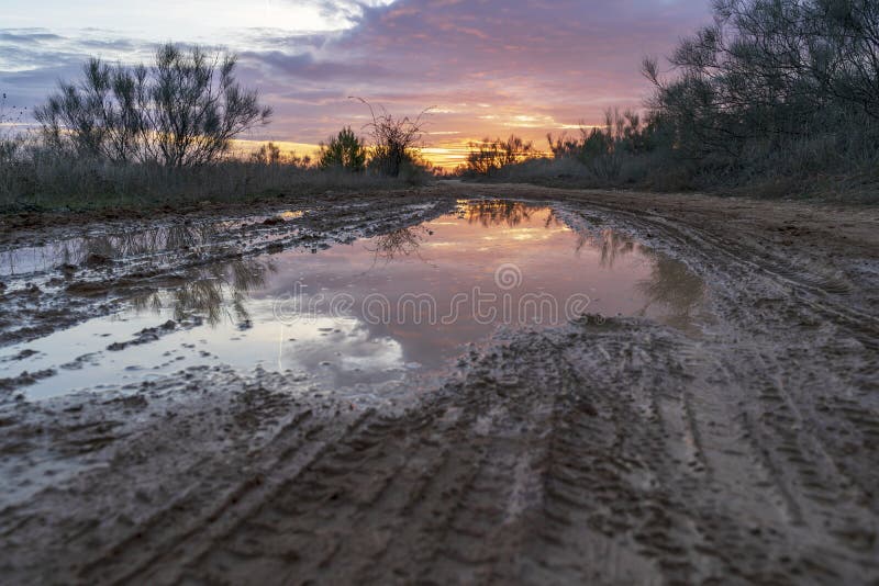 Puddle on a Path in the Field in Which the Sunset is Reflected. Stock ...