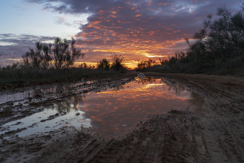 Puddle on a Path in the Field in Which the Sunset is Reflected. Stock ...