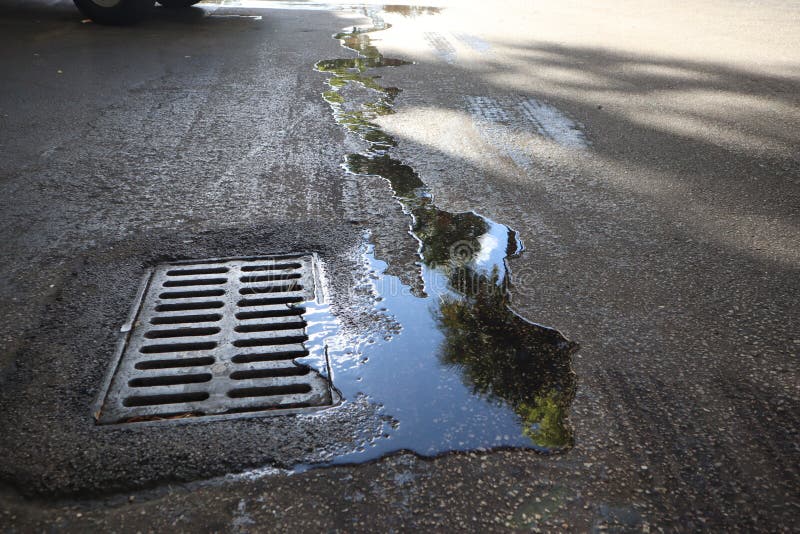 Puddle on the Pavement, Palm Trees Reflected in the Water. Water Flows ...