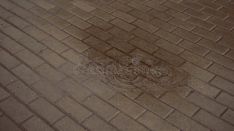 Puddle on Paving Slabs. it S Raining. Raindrops Dripping on Puddle ...