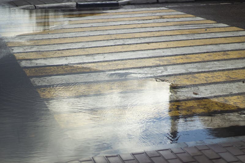 Puddle at a Pedestrian Crossing. Pedestrian Markings on the Highway ...
