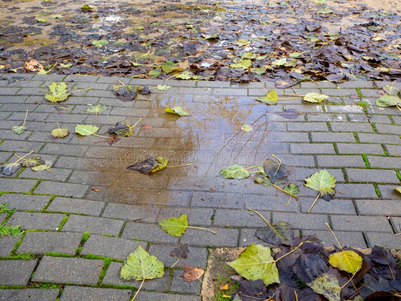 Puddle in a Pothole on a Road after a Rainstorm. Concept of Risk and ...