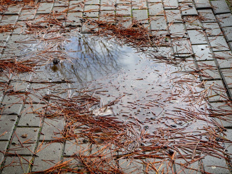 Puddle in a Pothole on a Road after a Rainstorm. Concept of Risk and ...