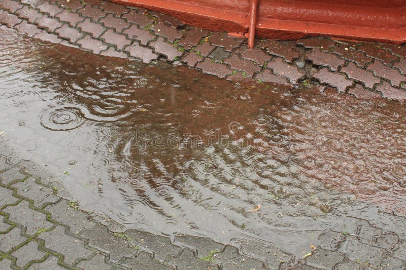 Puddle during the Rain. Circles from Raindrops. a Puddle during the ...