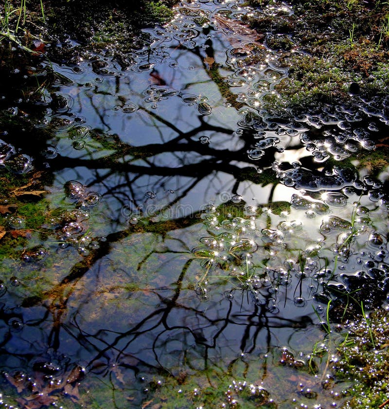 Puddle after rain stock photo. Image of puddle, background - 88884370 Puddle after rain stock photo. Image of puddle, background - 88884370