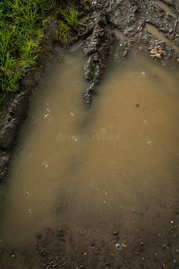 Puddle in a rain storm stock photo. Image of environment - 60867038