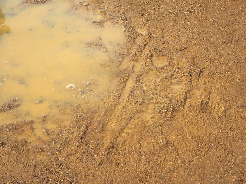 Puddle of Rain Water and Mud Stock Photo - Image of water, weather ...