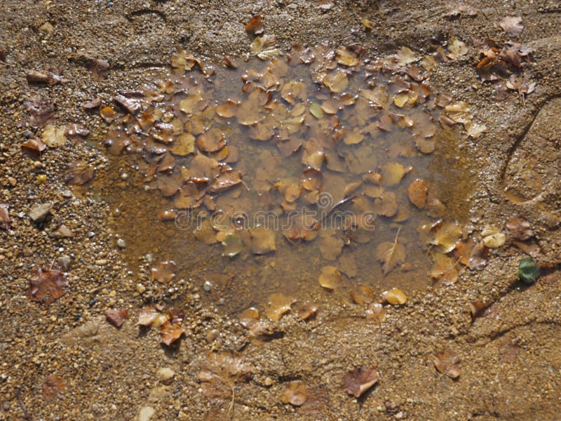 Puddle of Rain Water and Mud Stock Photo - Image of water, rainy: 133294272