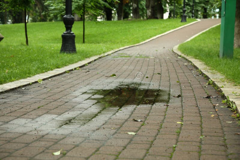 Puddle of Rain Water on Paved Pathway in Park Stock Image - Image of ...