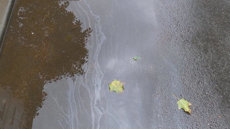 Puddle of Rainwater on Concrete and Gravel Surface during Rain Stock ...