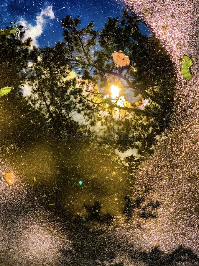 Puddle reflecting sky stock image. Image of skies, rain - 193573193
