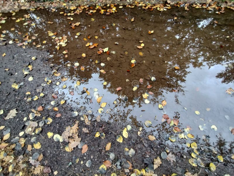 Puddle with reflection stock photo. Image of path, muddy - 295241366