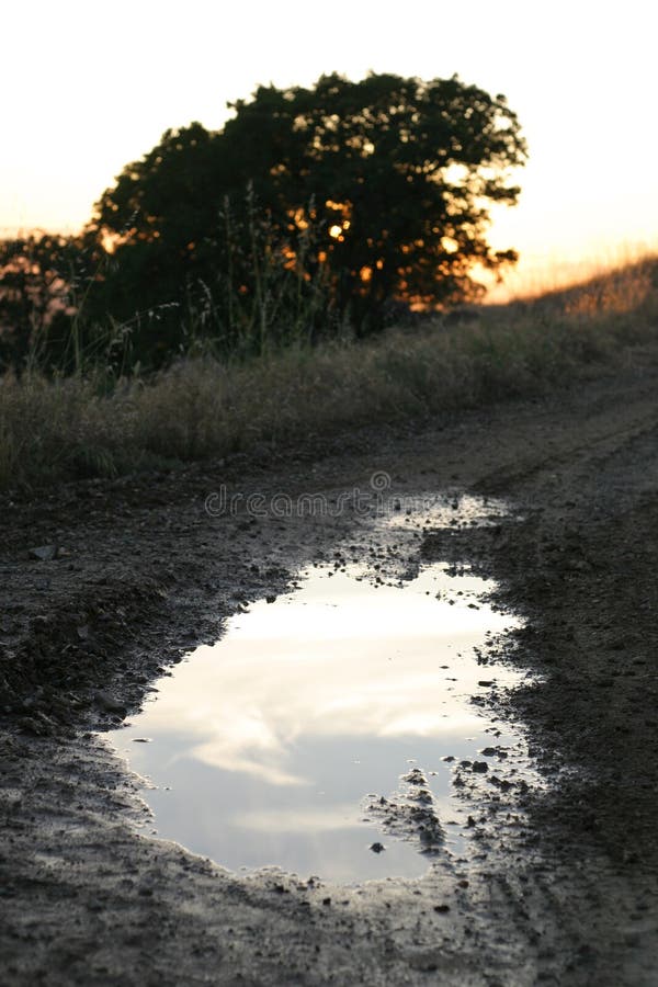 Puddle Reflection stock photo. Image of reed, white, puddle - 793658