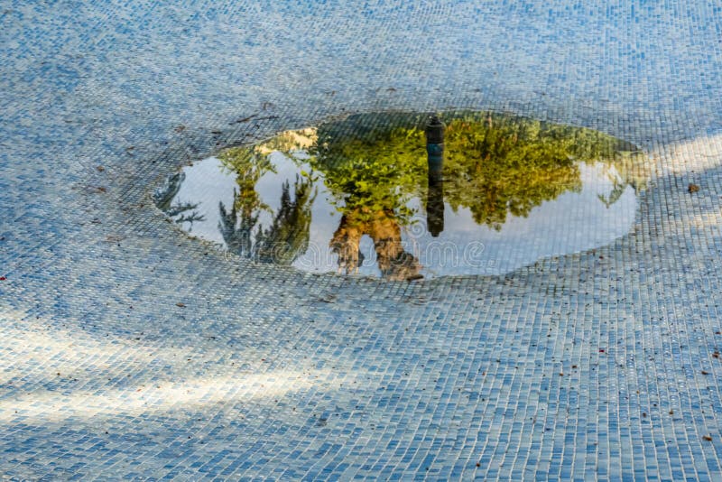 Puddle and Reflection in Ornamental Pool Stock Photo - Image of liquid ...