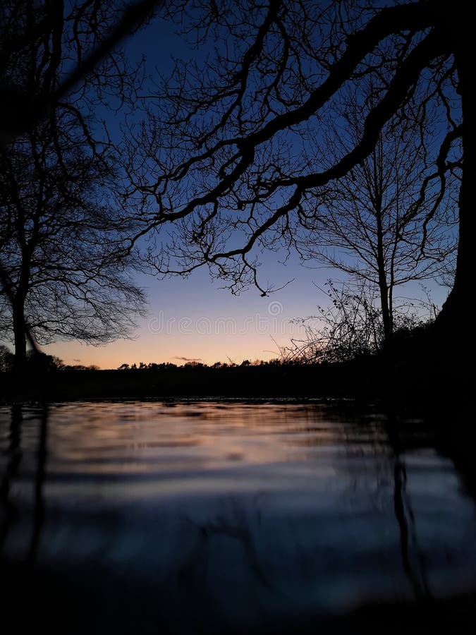 Puddle reflection stock photo. Image of puddle, light - 177199908