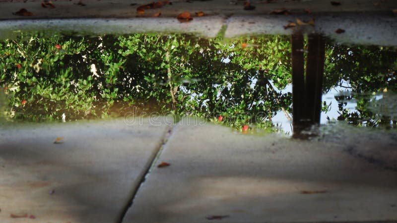 Puddle reflection stock image. Image of reflecting, found - 84319733