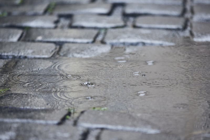 Puddle on road in rain stock image. Image of overcast - 121709375