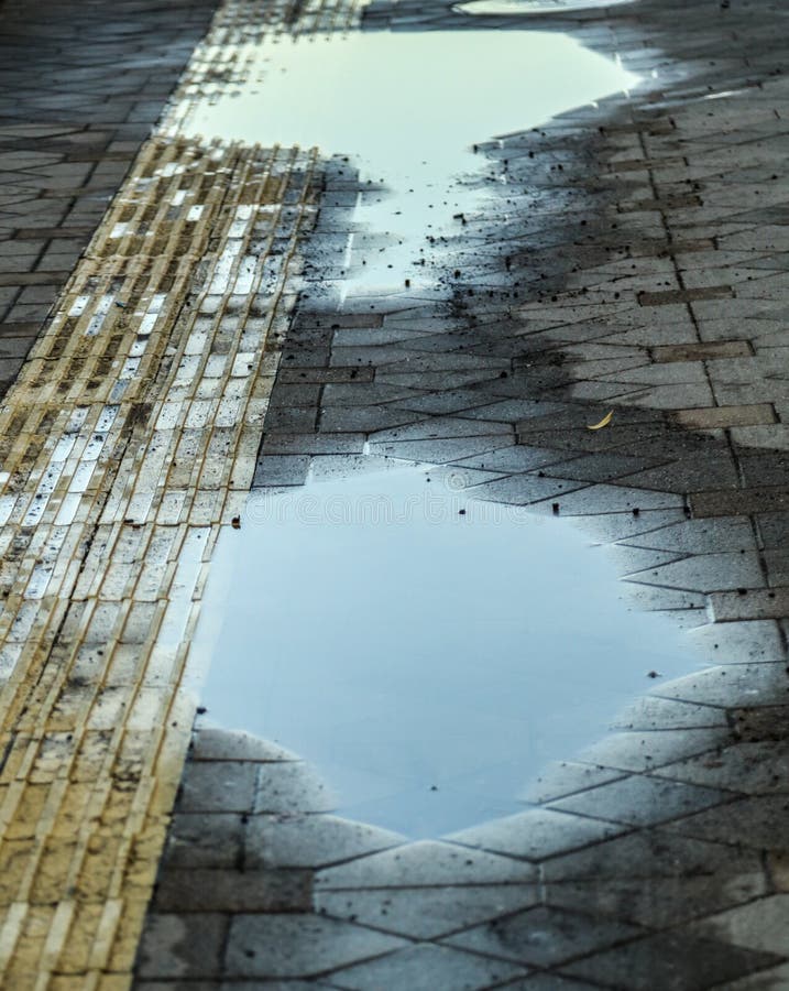 Puddle on the Road with Reflection Stock Image - Image of leaf, field ...