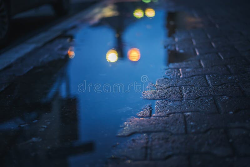 903 Puddle Night City Lights Stock Photos - Free & Royalty-Free Stock ...