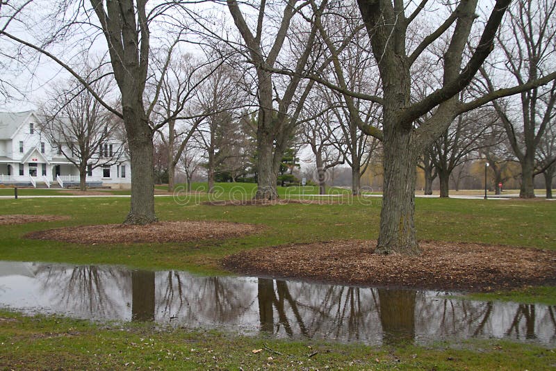 Watery Puddles Stock Photos - Free & Royalty-Free Stock Photos from ...