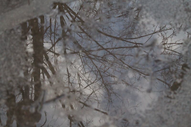 Puddle after spring rain stock image. Image of competition - 175505183
