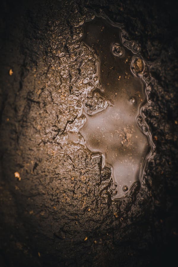 Puddle on a Stone Road with Reflection of Light Stock Image - Image of ...