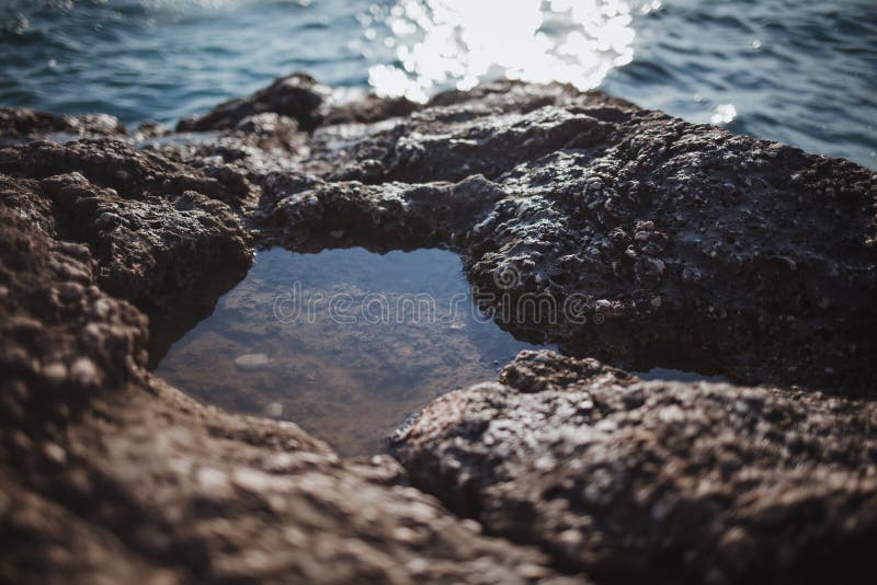 A Puddle in the Stone after the Surf Stock Photo - Image of outdoor ...