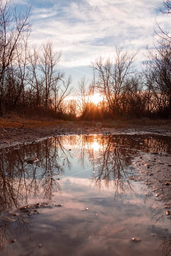 Puddle sunset reflection stock image. Image of trees - 290865329