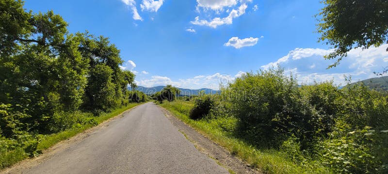 Puddle with Swamp and Water on the Road Near a Wheat Field Stock Image ...