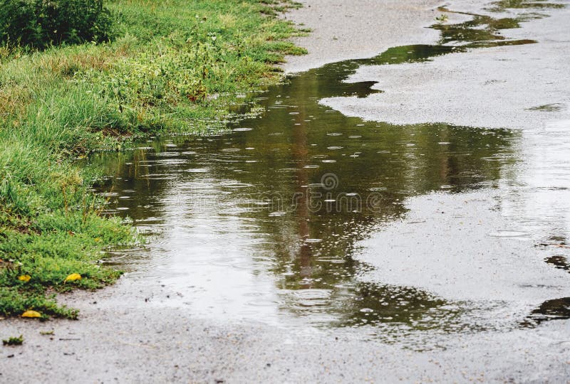 Puddle during the Rain on a Grassy Road Stock Photo - Image of park ...