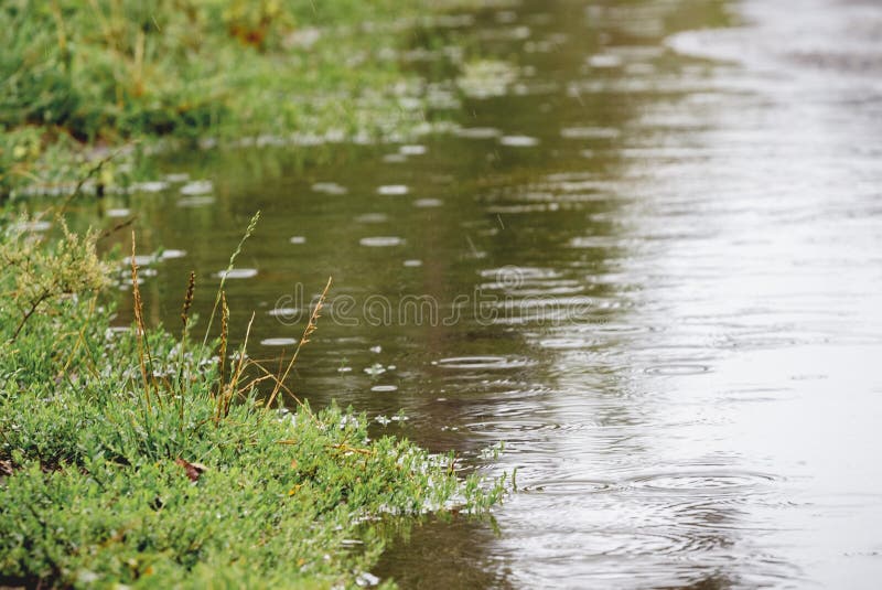 Puddle during the Rain on a Grassy Road Stock Photo - Image of park ...