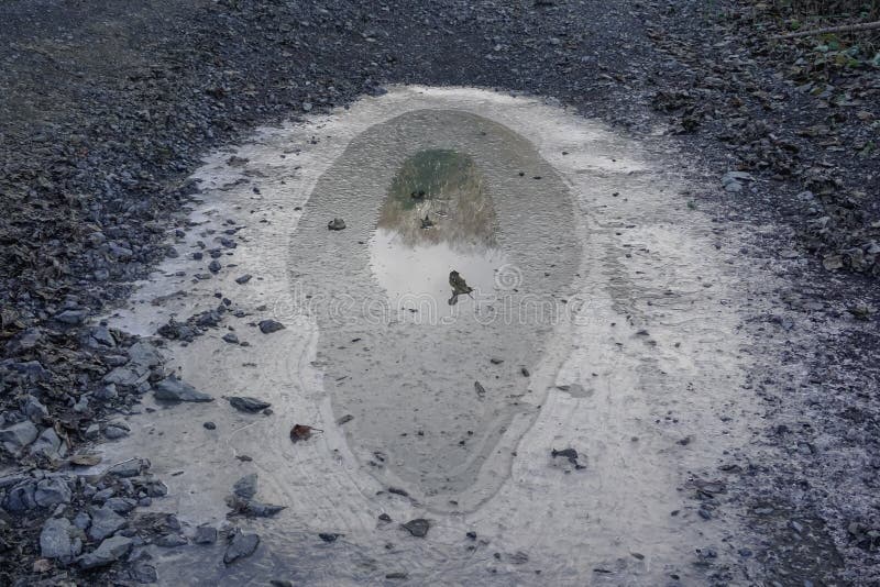 Puddle of Unusual Shape on the Ground Stock Image - Image of frosted ...