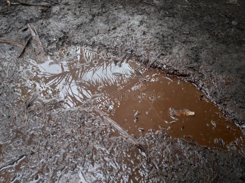 A Puddle of Water Forming Mud Stock Photo - Image of rock, puddle ...