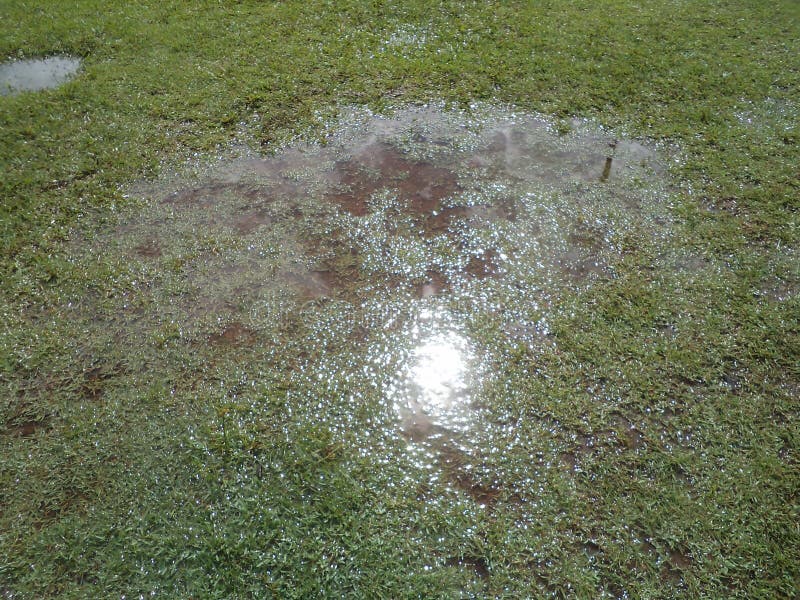 Puddle of Water on the Lawn Stock Photo - Image of rain, grass: 145163754