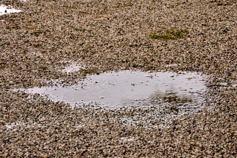 Puddle of Water and Raindrops Stock Image - Image of drop, puddle ...