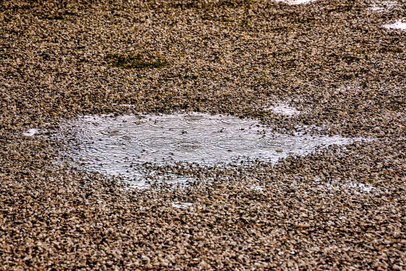 Puddle of Water and Raindrops Stock Photo - Image of city, storm: 309769730